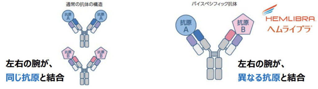 【二重特異性抗体】わかりやすいバイスペシフィック抗体解説 | チクチクのお薬手帳