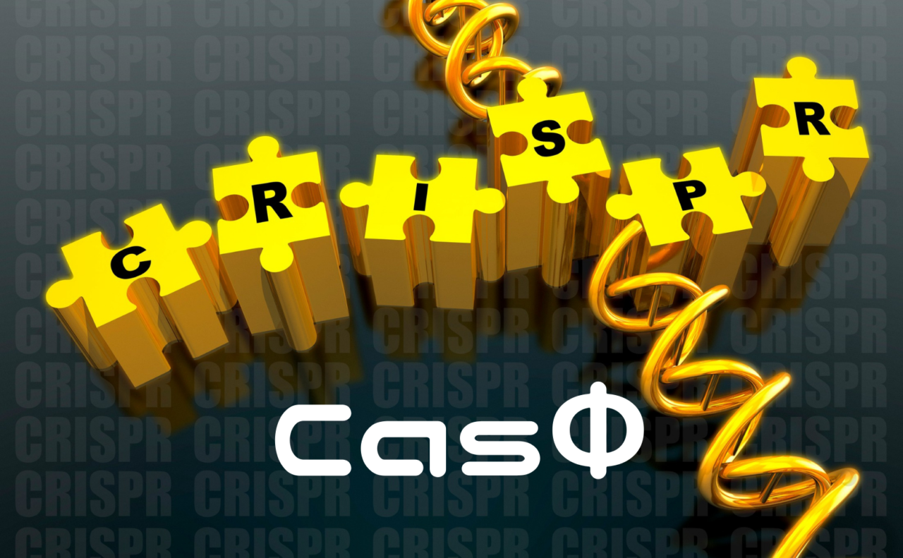 モダリティ徹底解説 | チクチクのお薬手帳